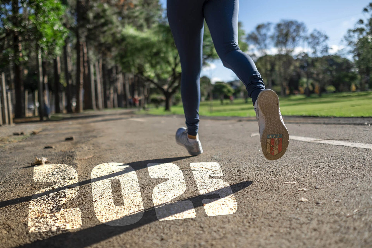 Floyd Mayweather's Legendary Training Workout and Regimen – POWA Boxing