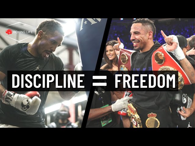 Boxing and Discipline: How the Sport Teaches Life Skills Beyond the Ri ...